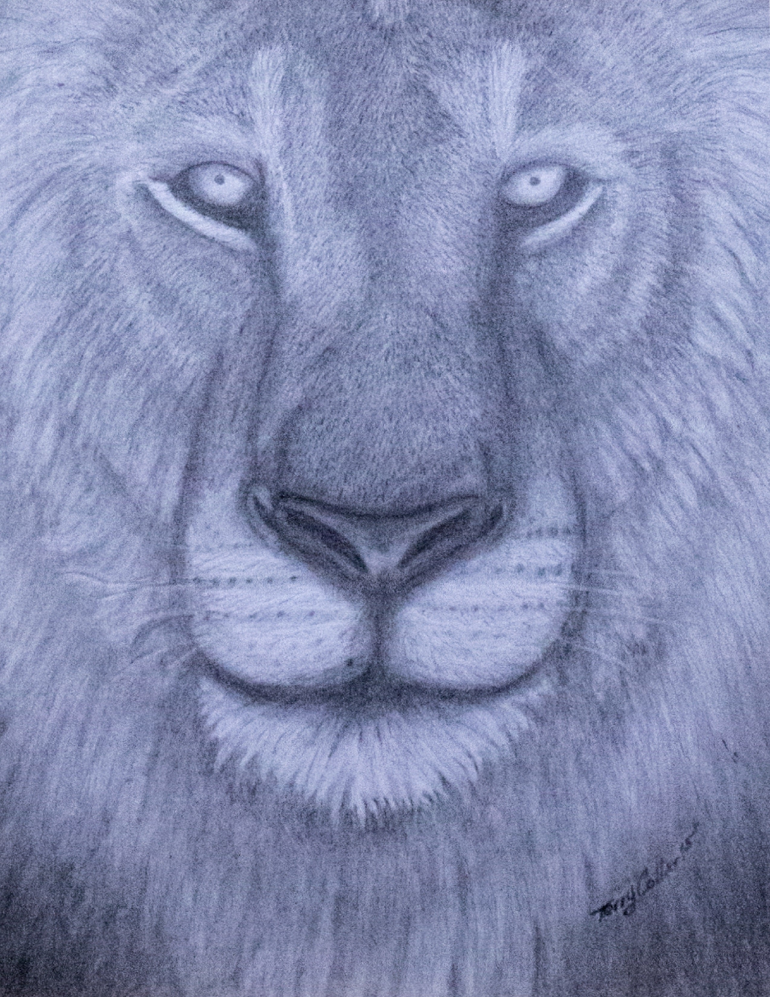 face lion drawing